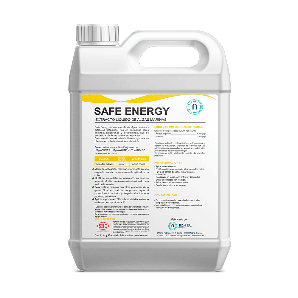 Safe Energy - Nostoc